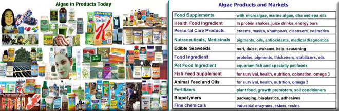 New Algae Products | Spirulina Source