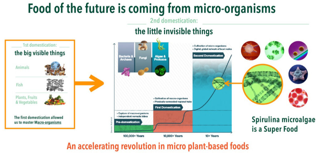 Micro Foods Revolution | Spirulina Source